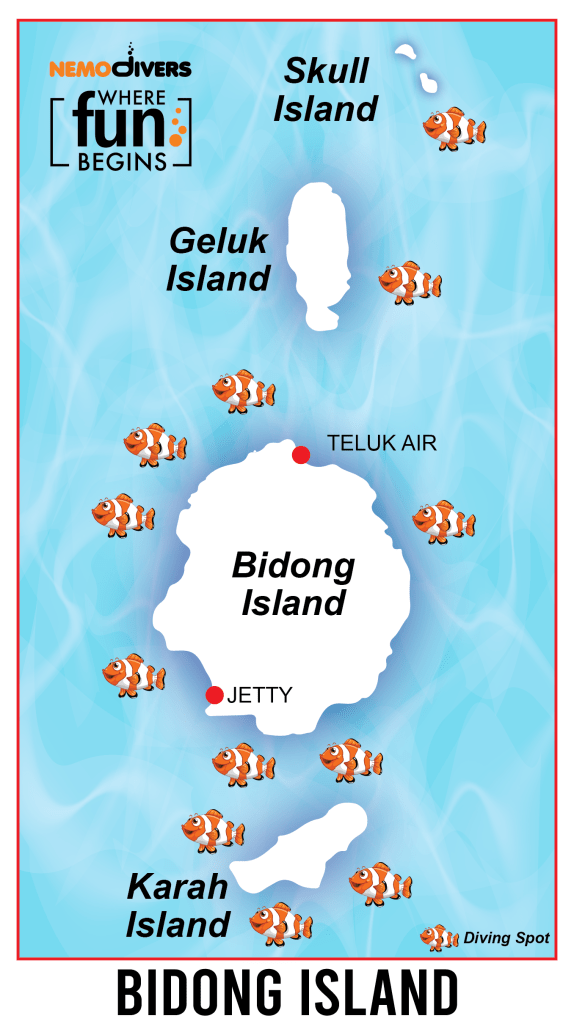 Bidong Island – DAY TRIP DIVING BIDONG ISLAND, TERENGGANU, MALAYSIA